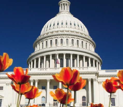 U.S. CapitolGreening the Capitol - OnTheMarcMedia